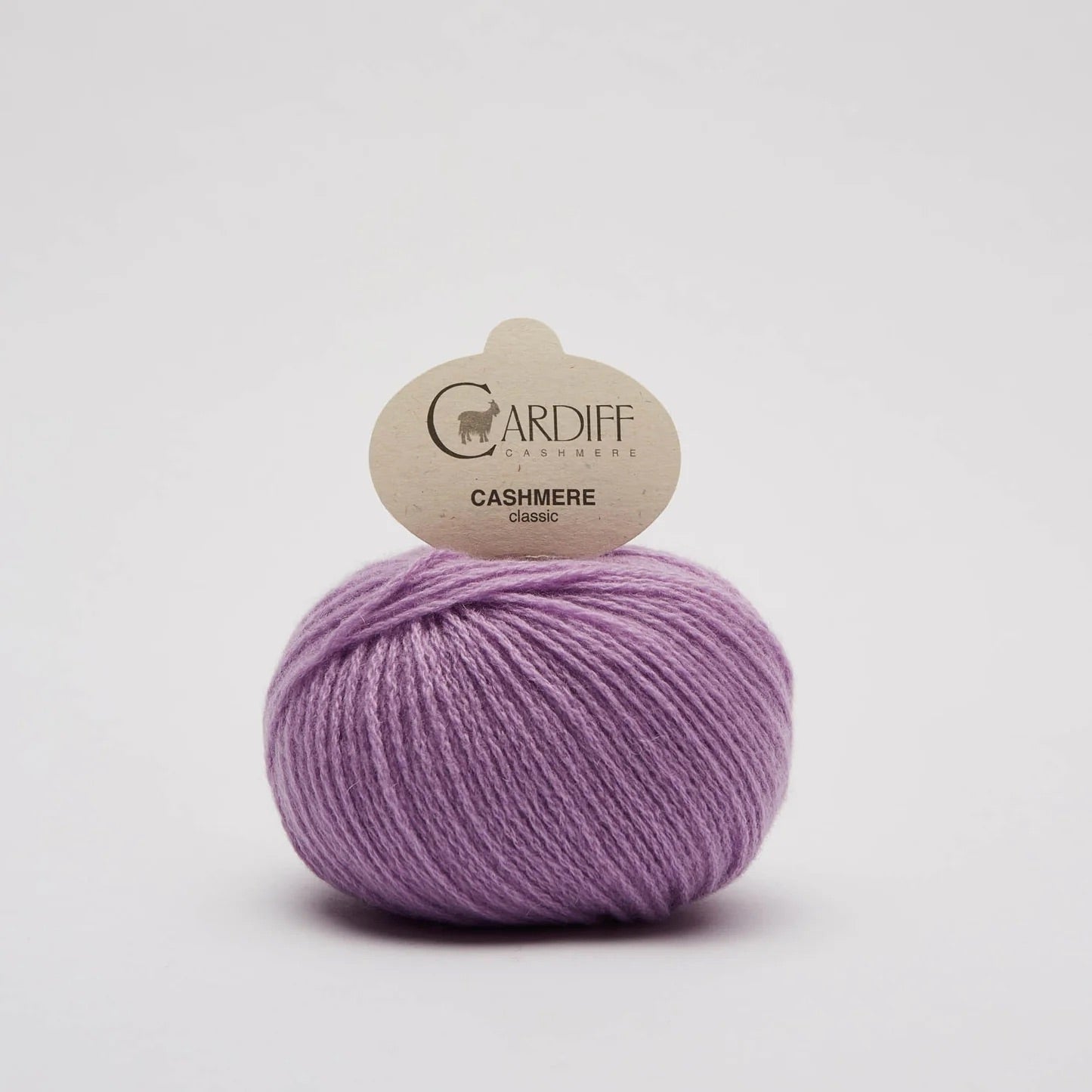 Cardiff Cashmere Classic 25g | Bella Yarn Studio